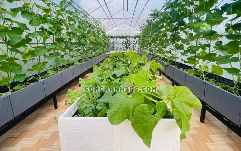 Chậu ghép trồng rau thông minh HDPE